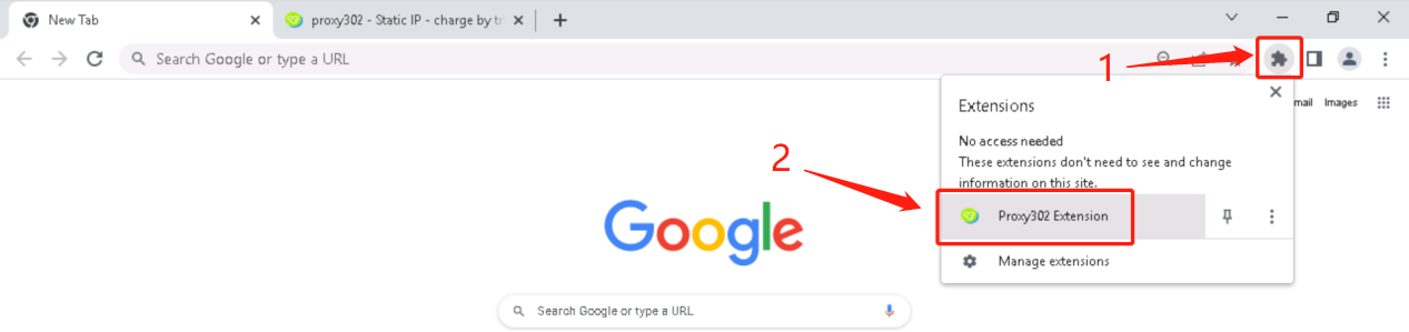 Chrome浏览器-Proxy302插件