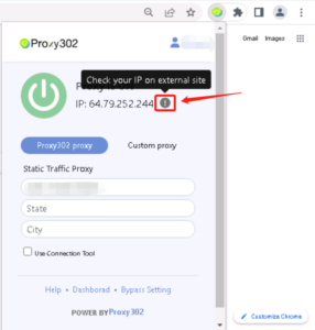 Chrome浏览器-Proxy302插件 – Proxy302